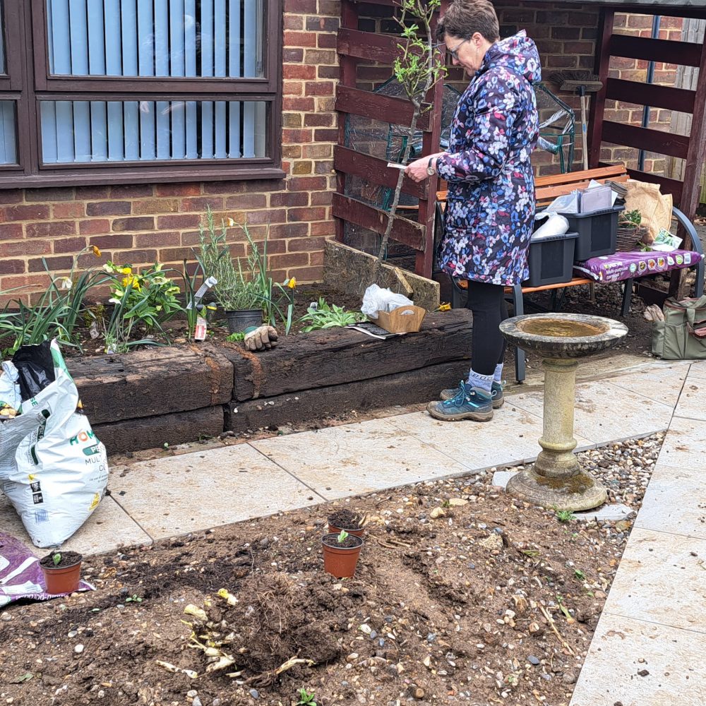 Writtle Practice Garden - Chelmsford CVS